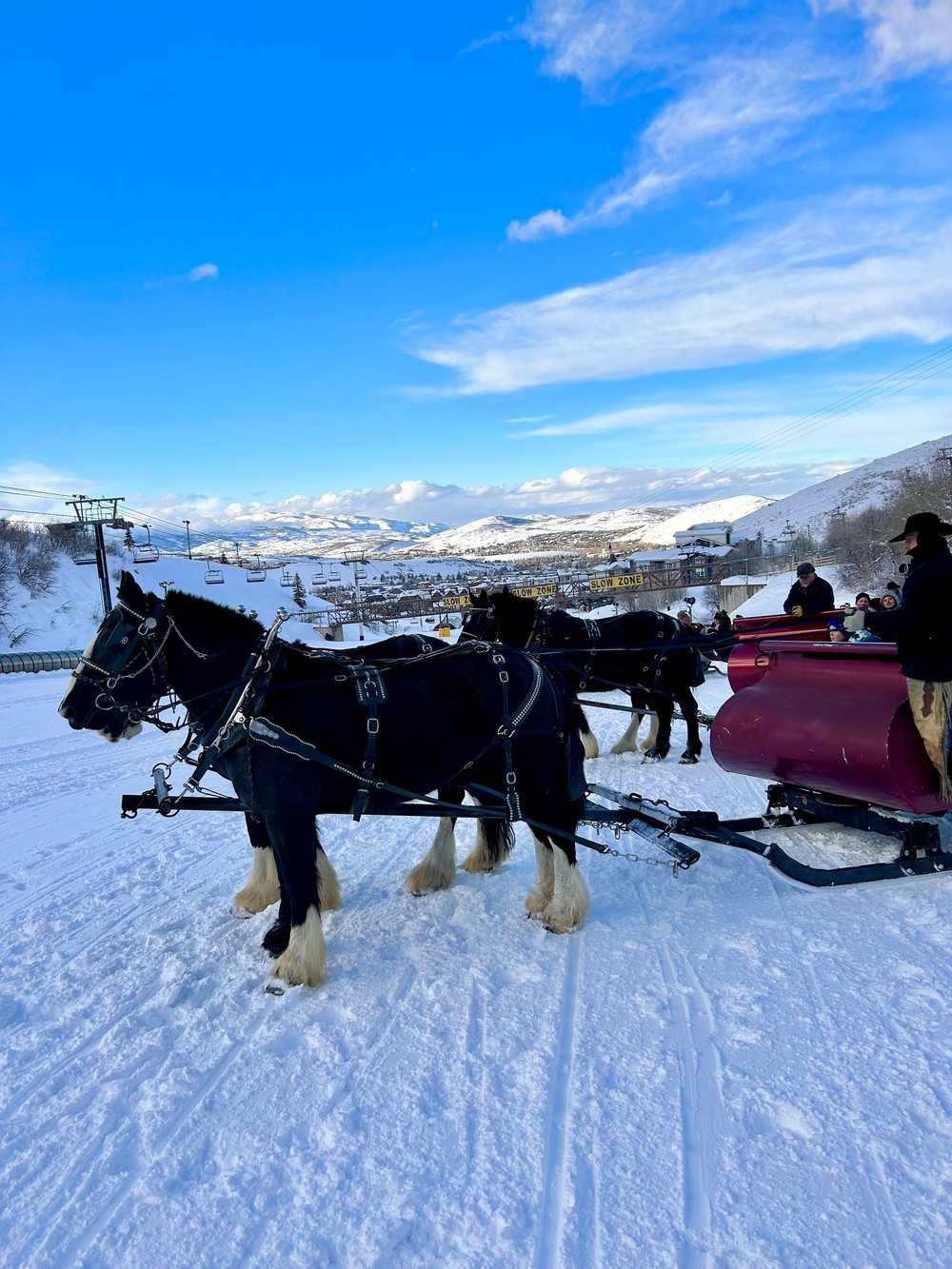 Sleigh Ride in Salt Lake City | Snowed Inn Sleigh Company